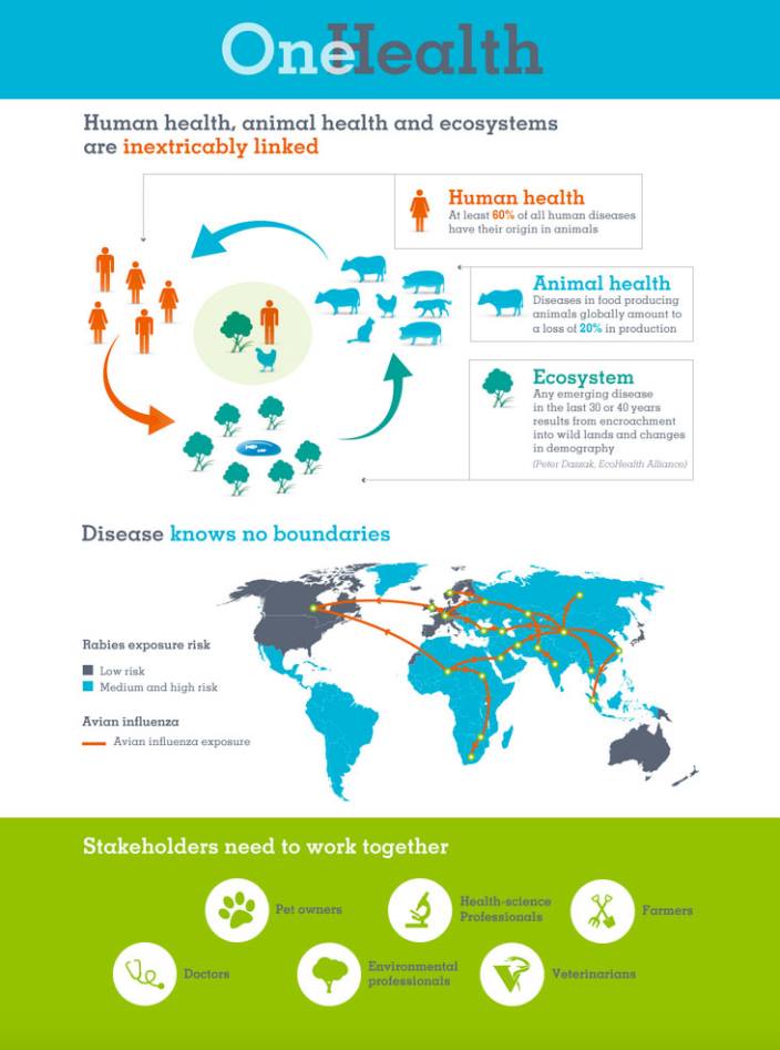 Infographic: November 3 is One Health Day - MSD Manual Consumer Version